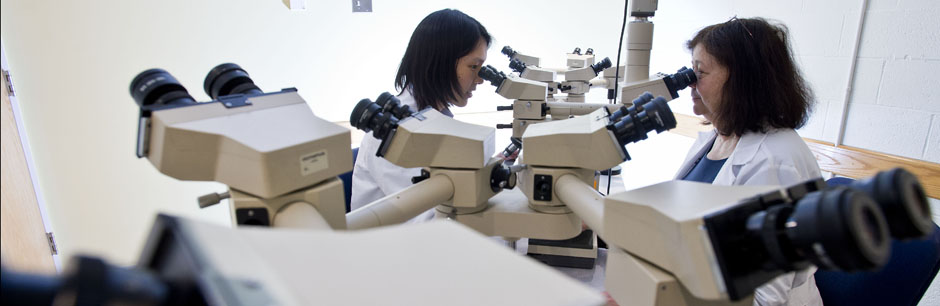 DEPARTMENT OF PATHOLOGY AND CLINICAL LABORATORY