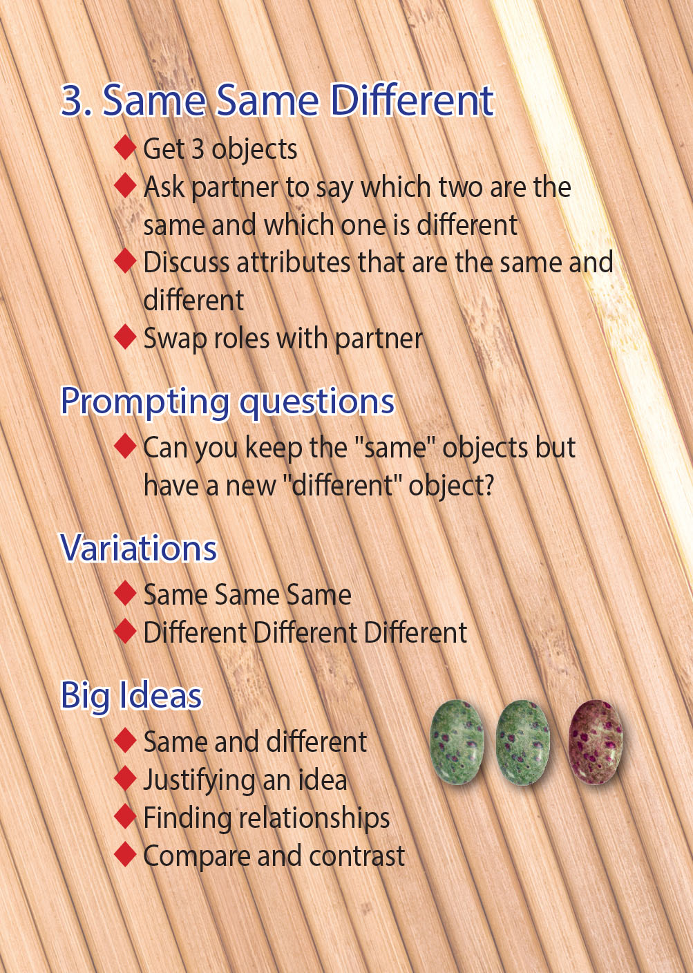 Authentic Inquiry Maths MiniMATHS 3 Same Same Different