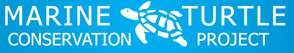 Green Living in Dubai: Marine Turtle Conservation Project by EWS-WWF