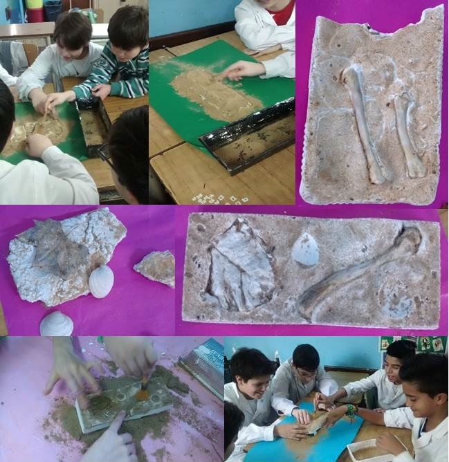 Escuela 22 DE 7º: Fósiles