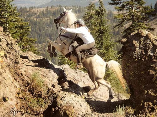 RevitaVet: History of the Tevis Cup