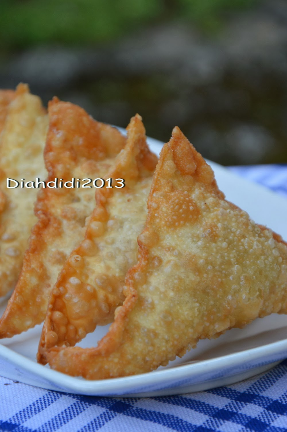 Diah Didi's Kitchen: Pastel Segitiga..atau Samosa...?..Hihi