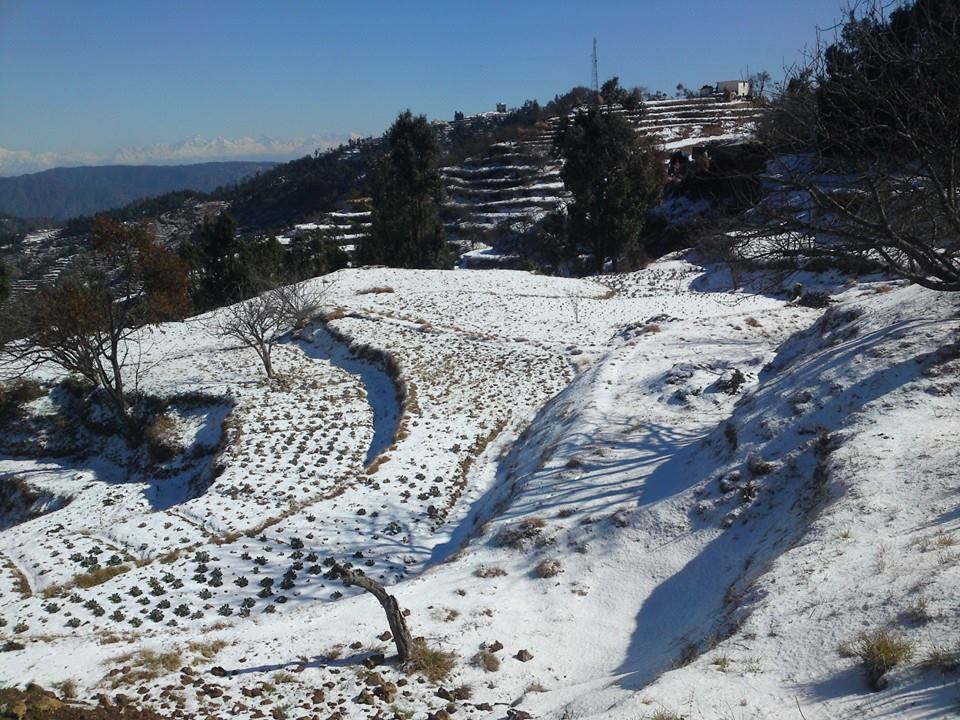 The Globe: Lohaghat : Hidden Paradise on Globe