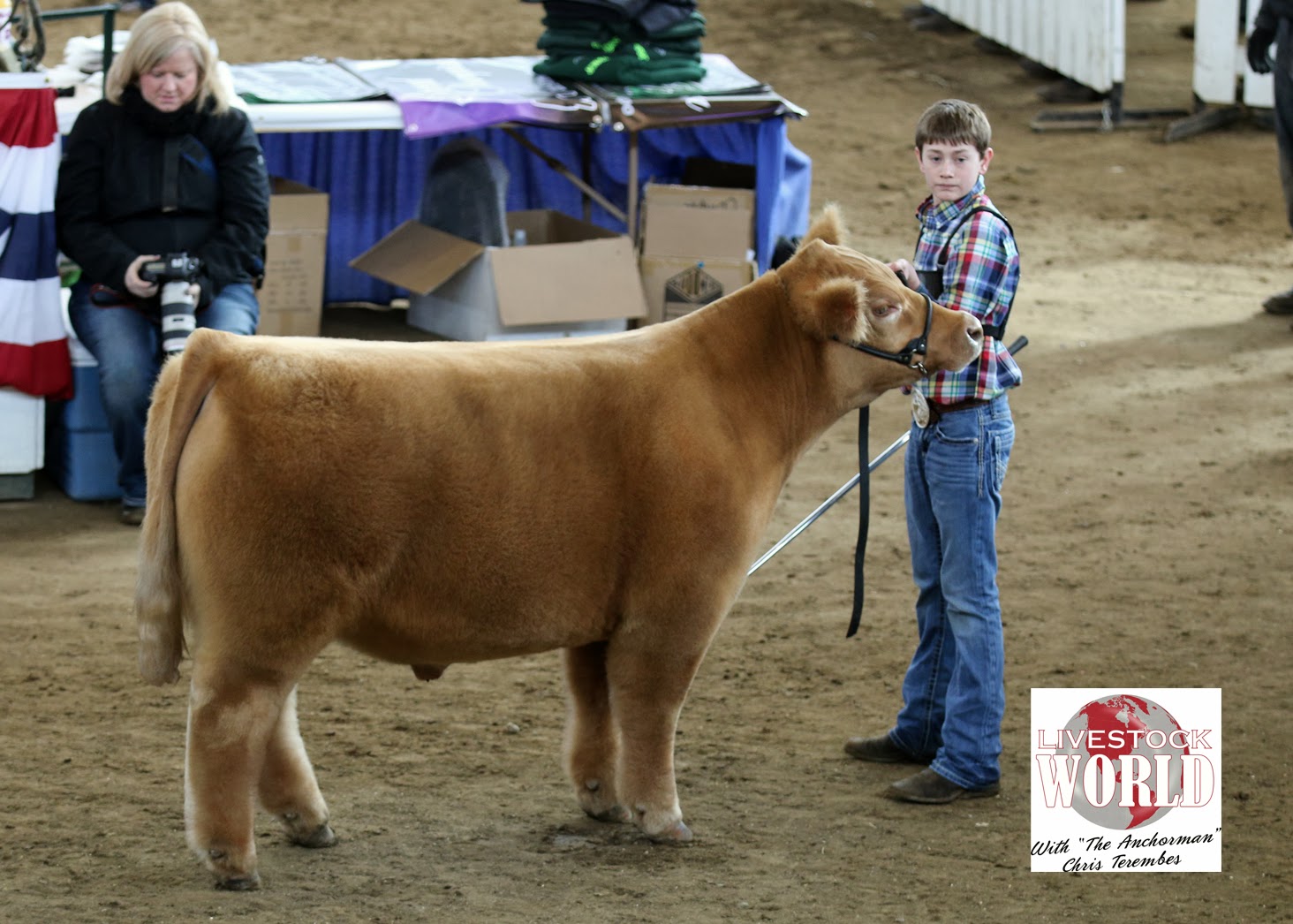 Executive Sires, Inc.: 2014 Iowa Beef Expo - Champion Division 2 ...