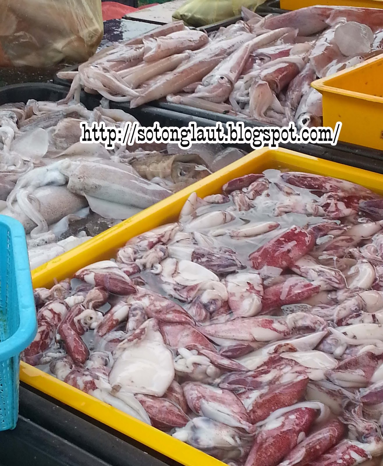 Sotong: Sotong Goreng