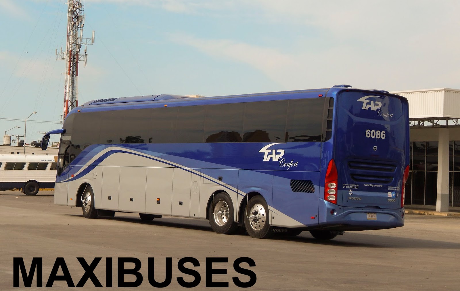MAXIBUSES: TRANSPORTES Y AUTOBUSES DEL PACÍFICO, CONFORT (TAP CONFORT ...