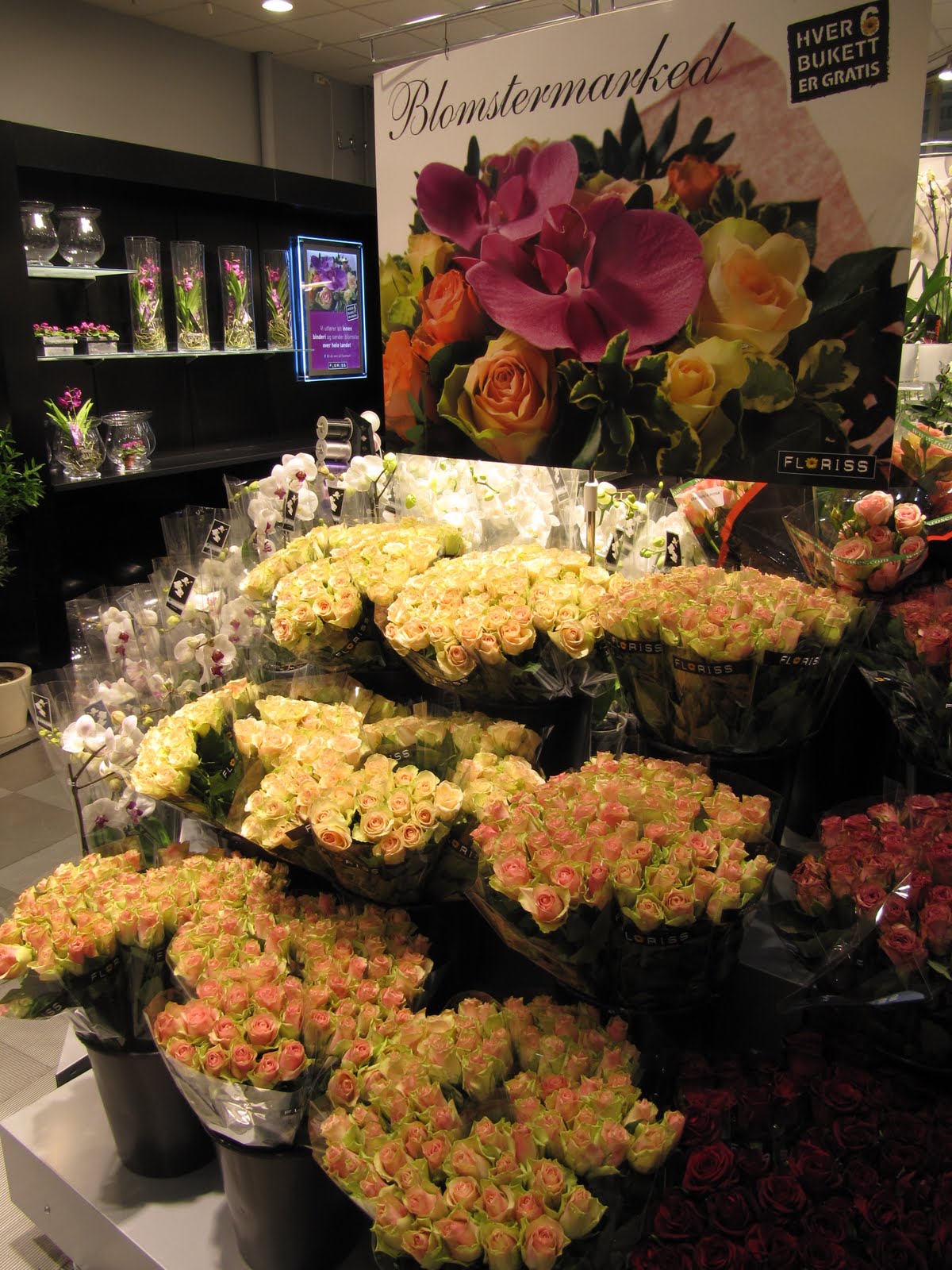 Floriss AS: Floriss Sjøsiden i nye lokaler