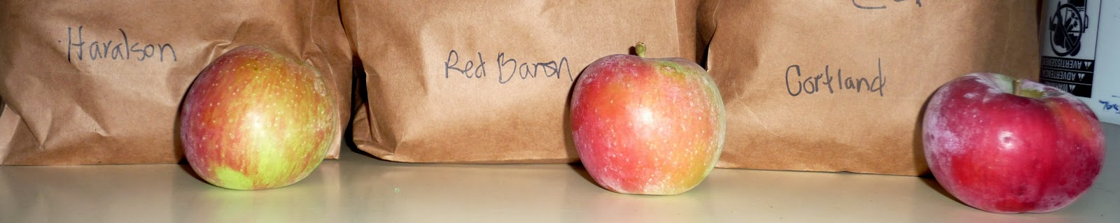 Alternative Roots Farm: 2013