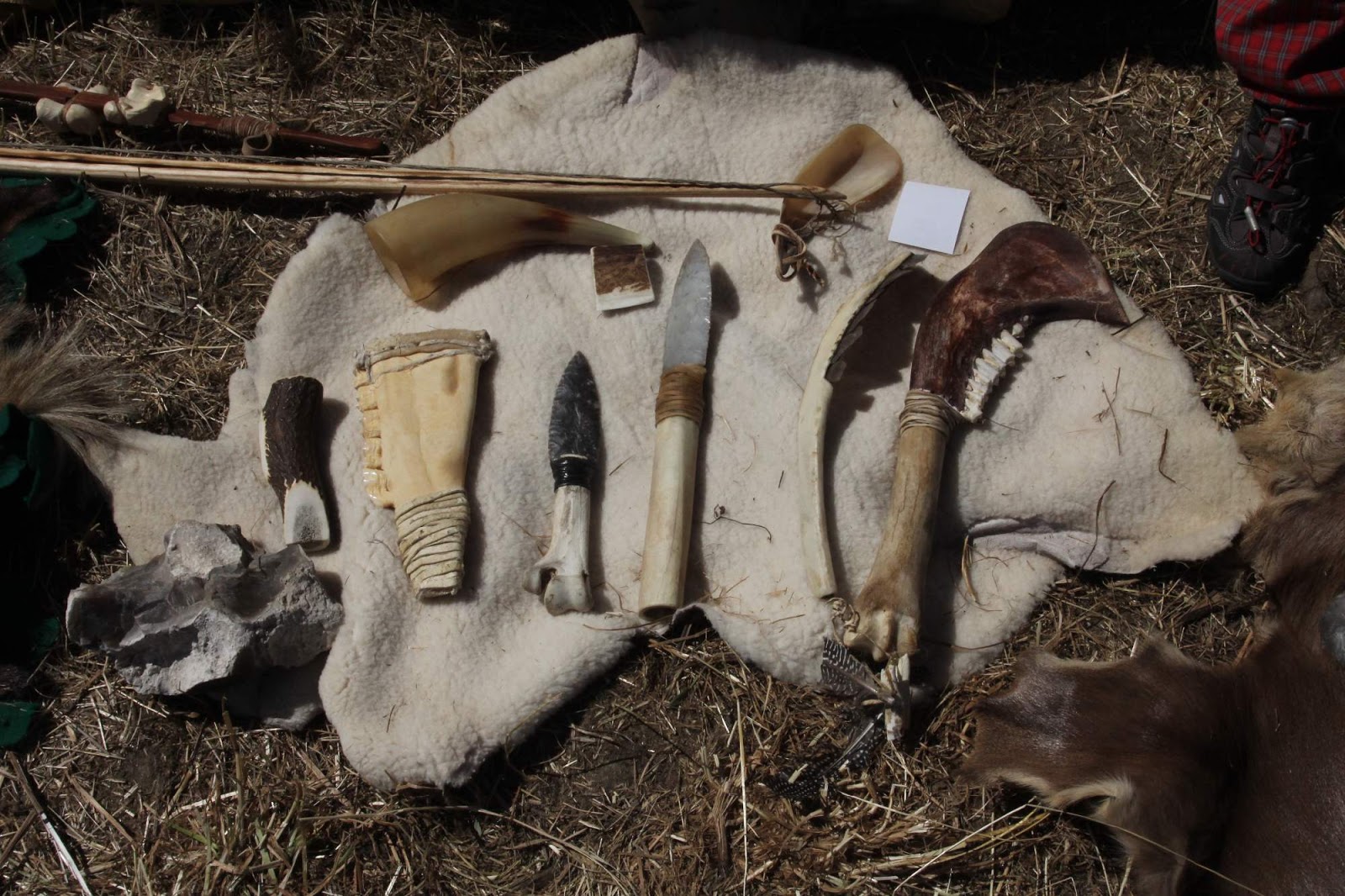 Slovanské Hradiská: Živý starovek na Havránku