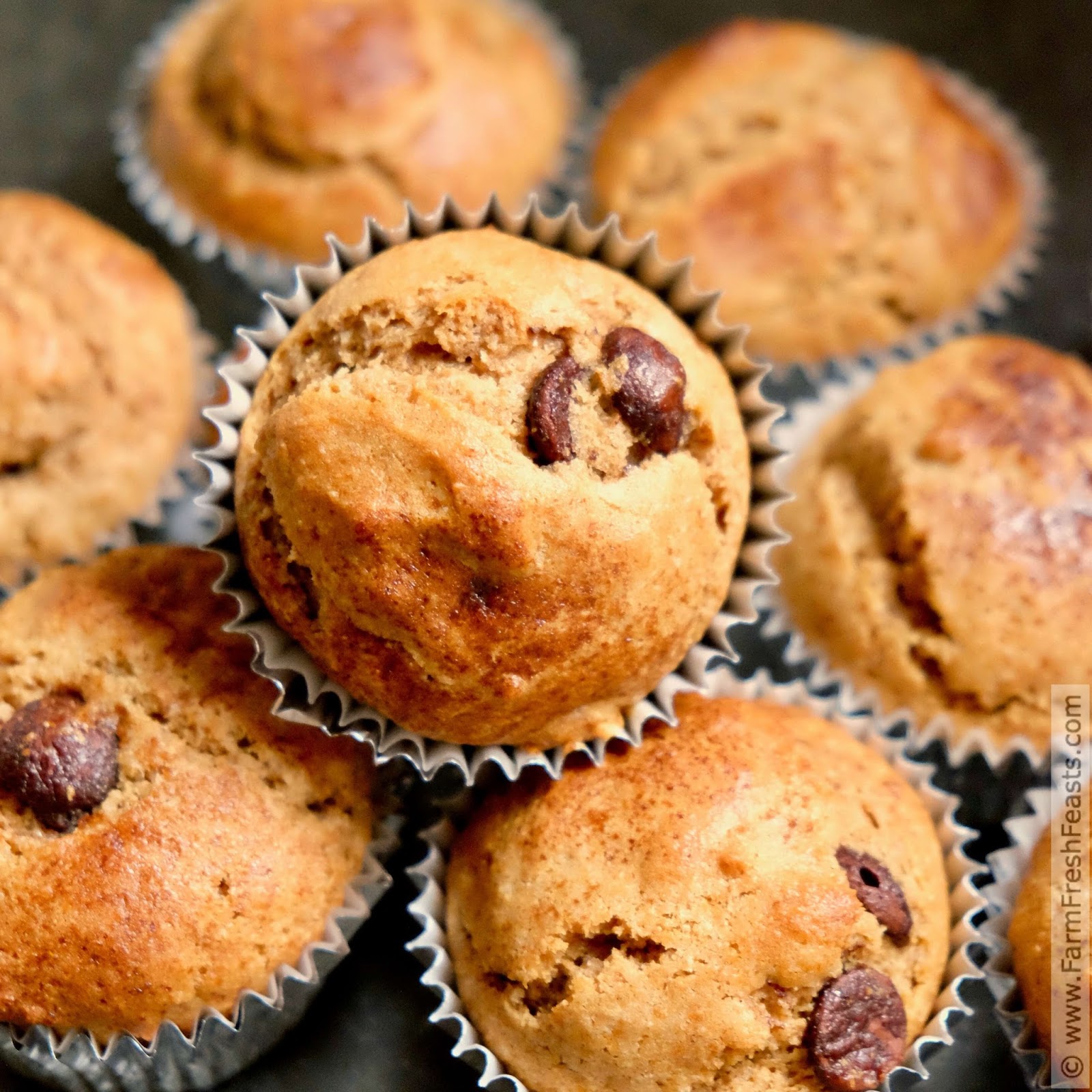Farm Fresh Feasts Healthy Tiramisu Muffins MuffinMonday farm-fresh-feasts-healthy-tiramisu-muffins-muffinmonday