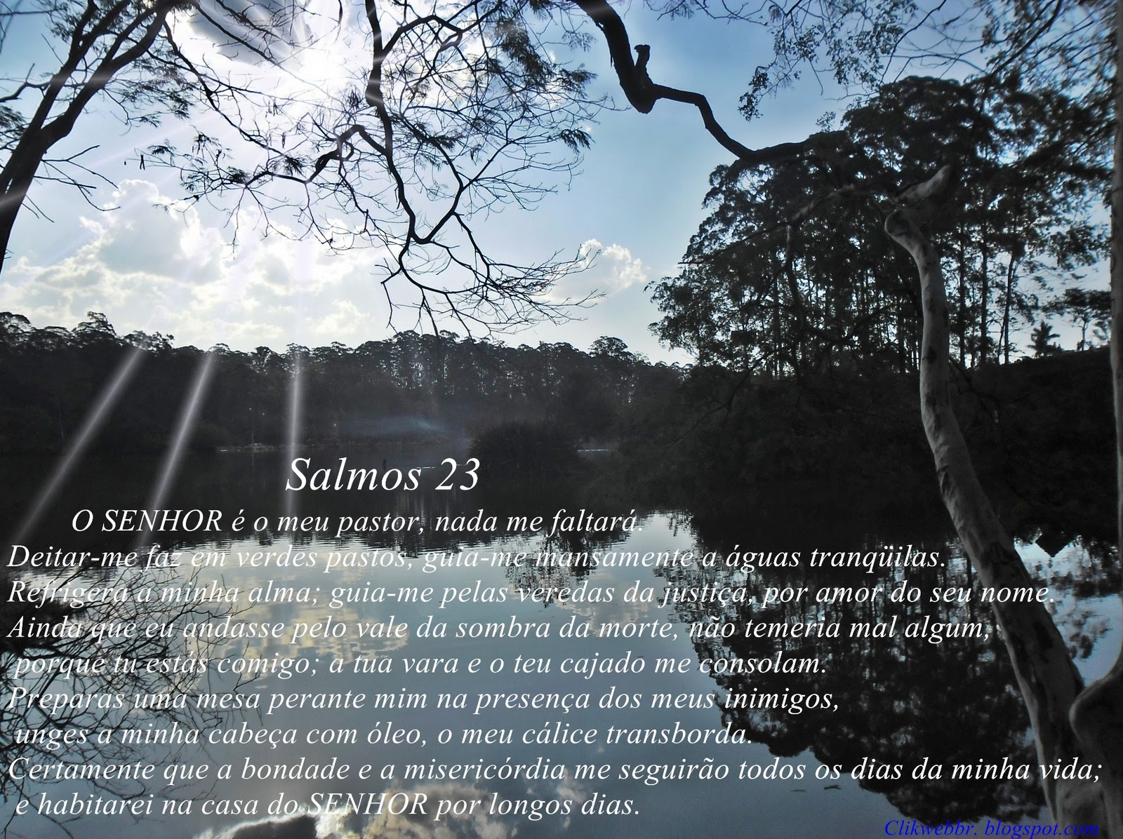 Mundo das Plantas : Salmos 23, Psalms 23!