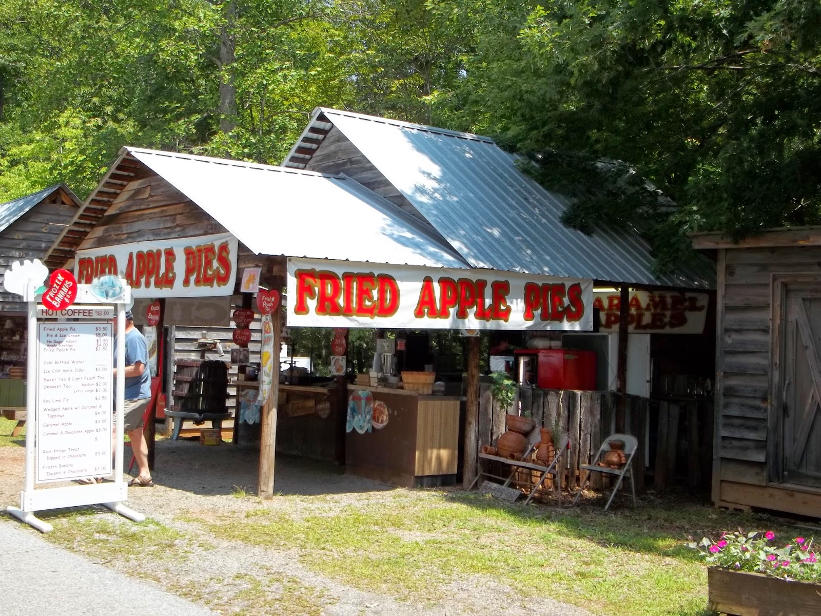 Blue Ridge Poet: Georgia Mountain Fair
