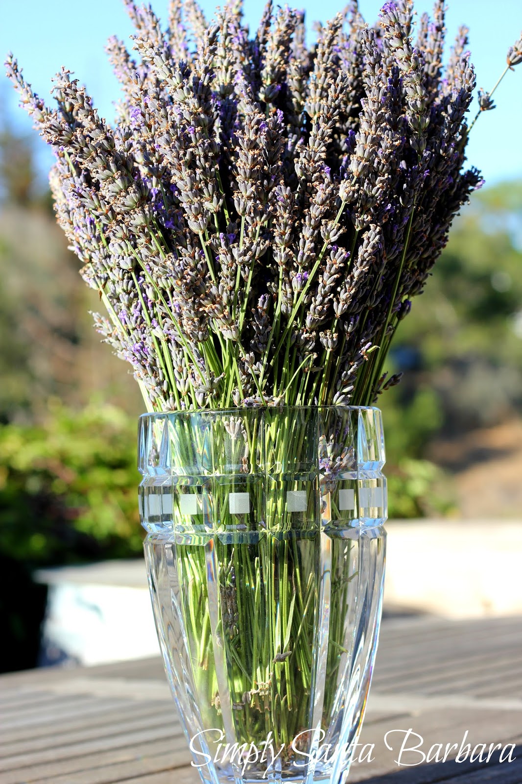 Simply Santa Barbara: Displaying Lavender Indoors