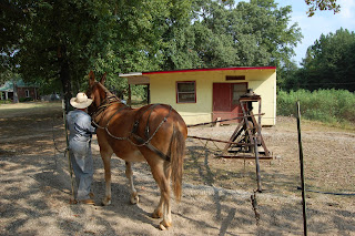 Hugh Cooks Food: Red Mule Grits