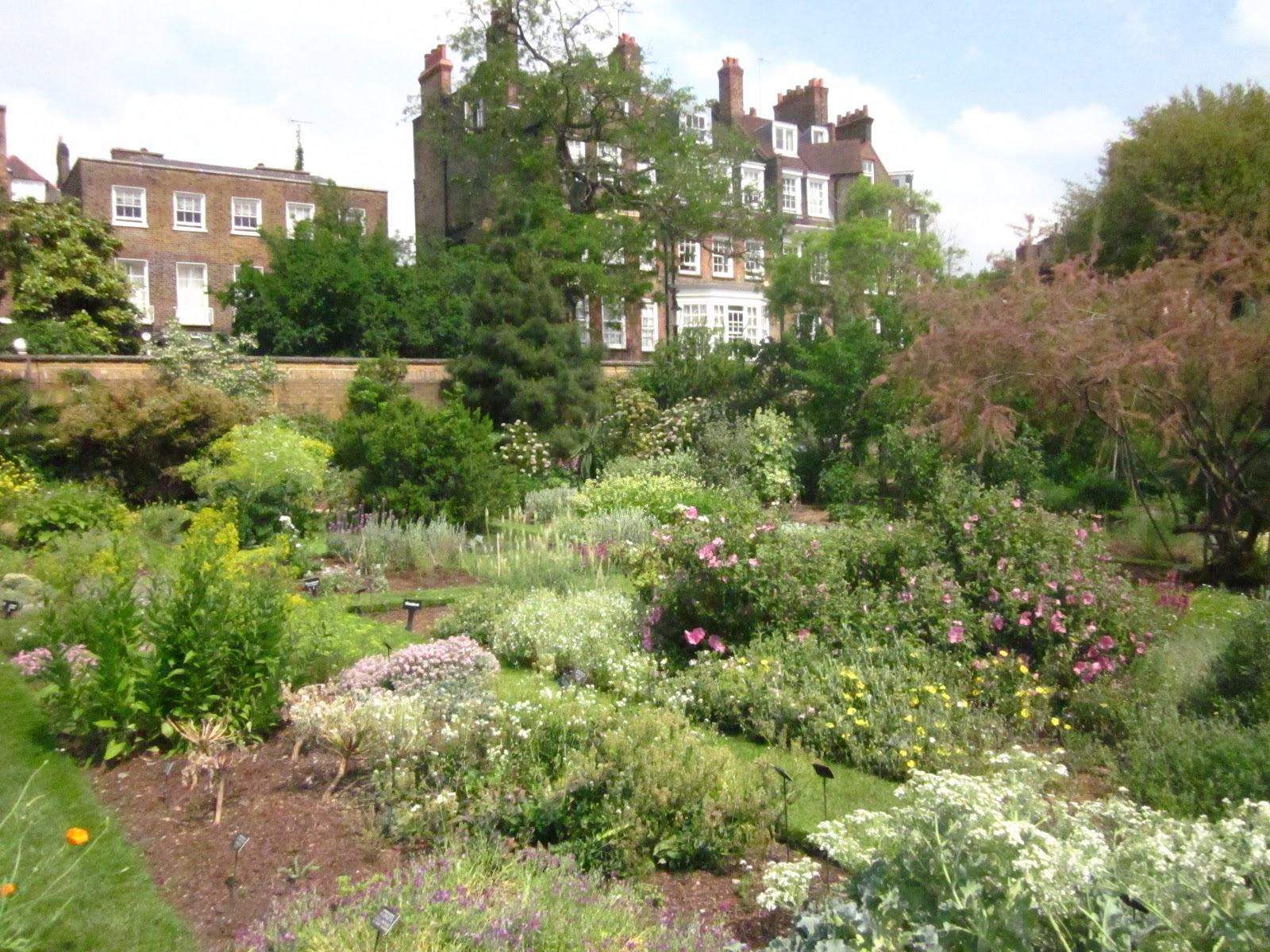 B&B in London: Chelsea physic Garden