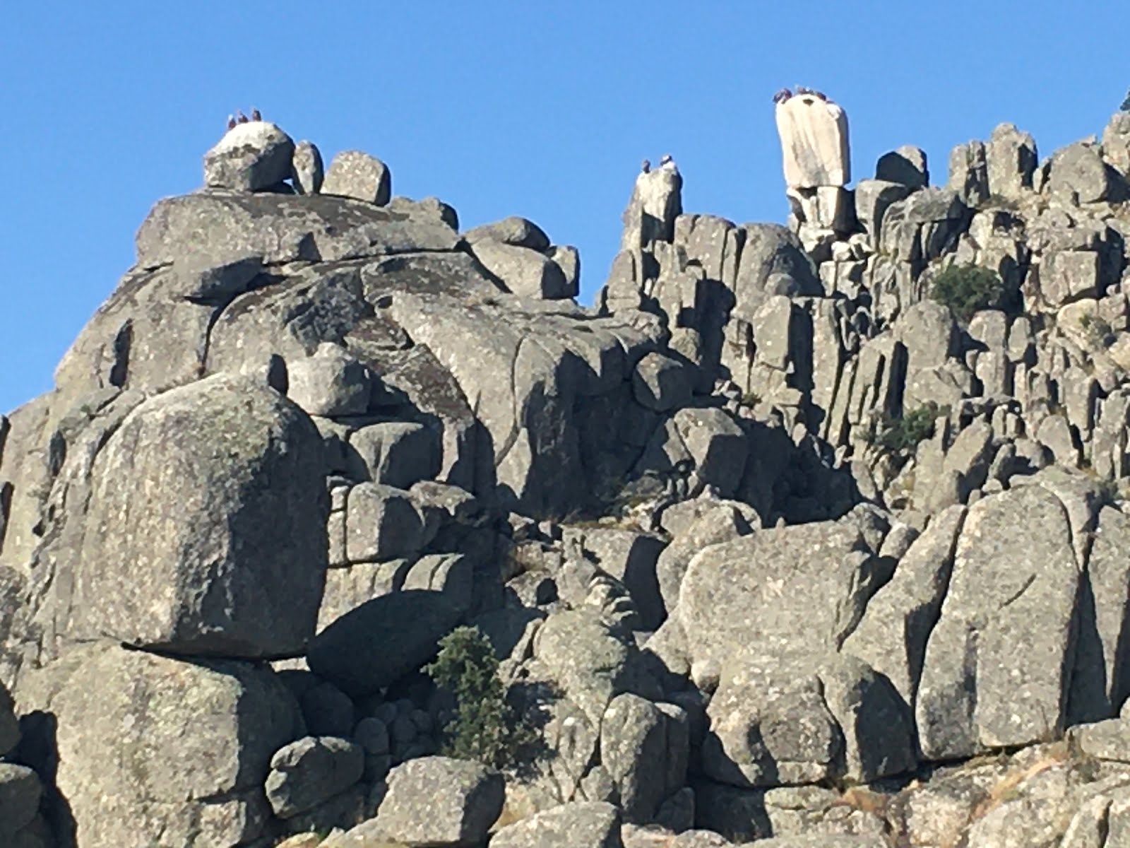 Wikiloc | Ruta La Cabrera Circular