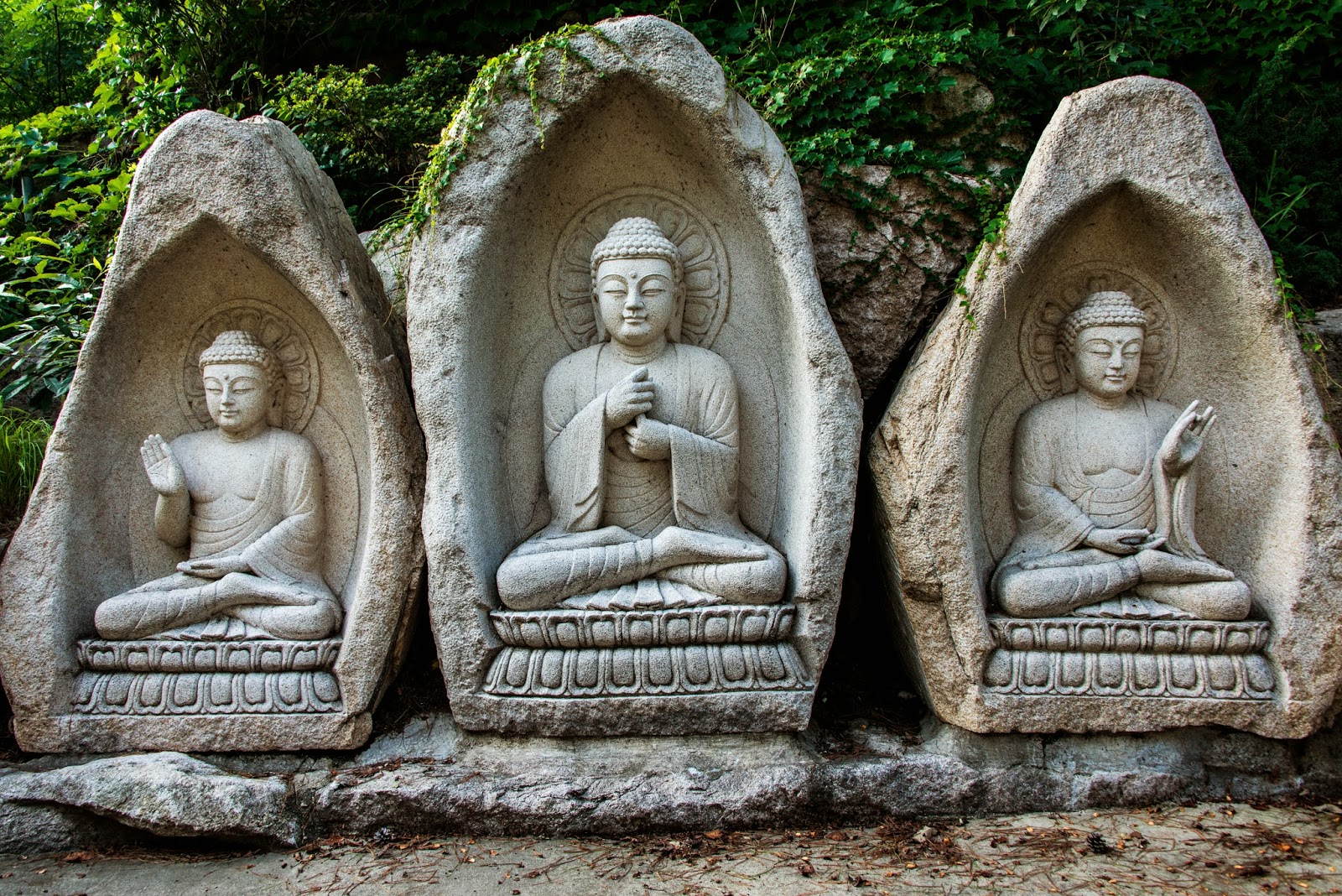 Daewonsa - Pohang's Dragon Temple | 10 Pictures in Pohang