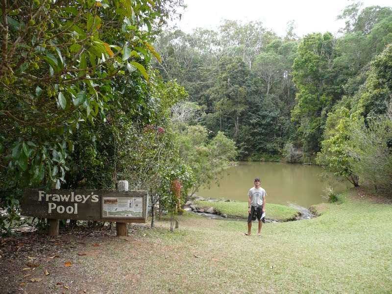 Nele & Andrew Around Oz: School Point Campsite, Danbulla National Park, QLD