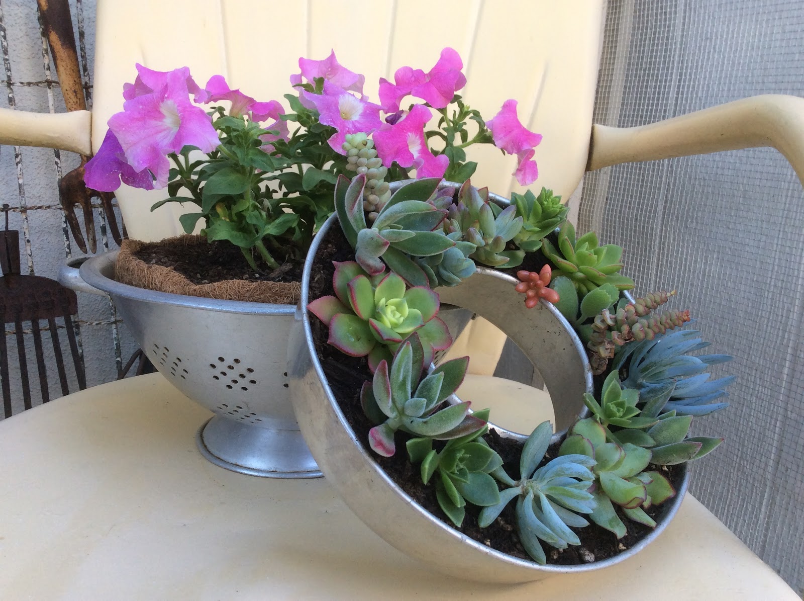 Fresh Vintage by Lisa S: Kitchenware as Repurposed Planters