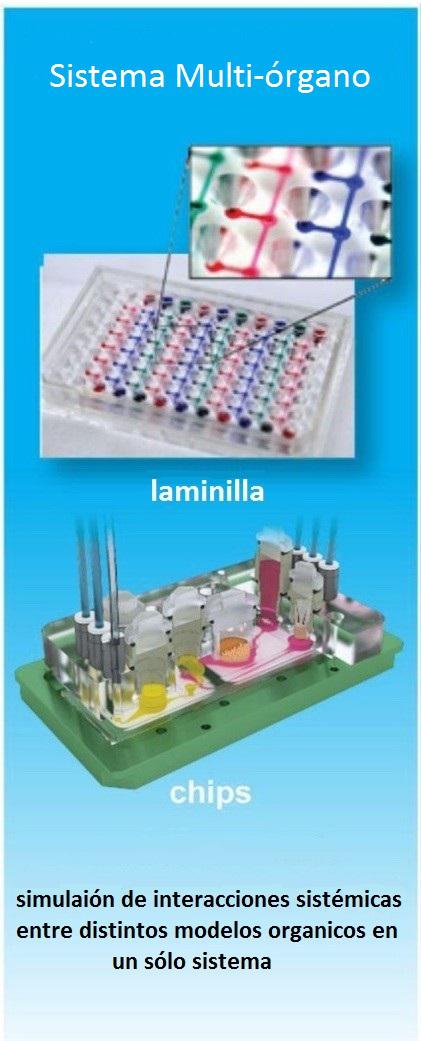 DIVULGACIÓN CIENTÍFICA UG