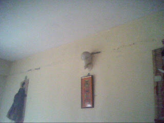 Kinzang Norbu's World: 18th Sept 2011 Earthquake that hit Bhutan and ...