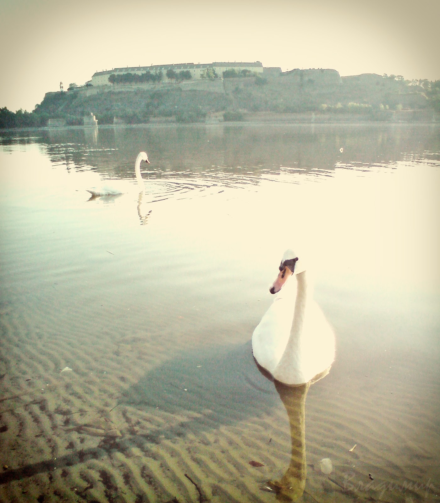 novi sad fotografije: Petrovaradinska tvrđava