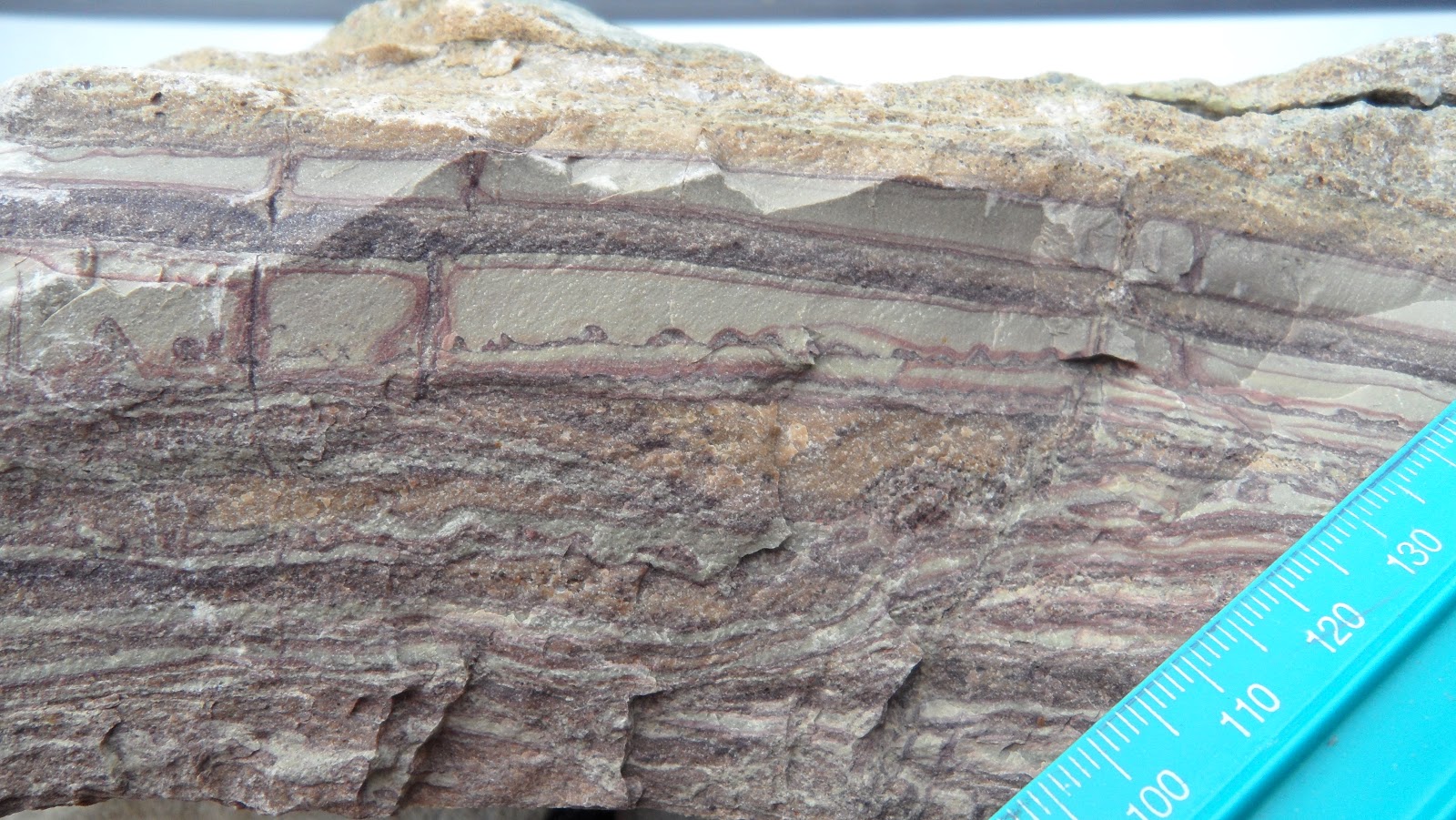 Fossils and Geology of Lanark County, Ontario: Mud cracks, Liesegang ...
