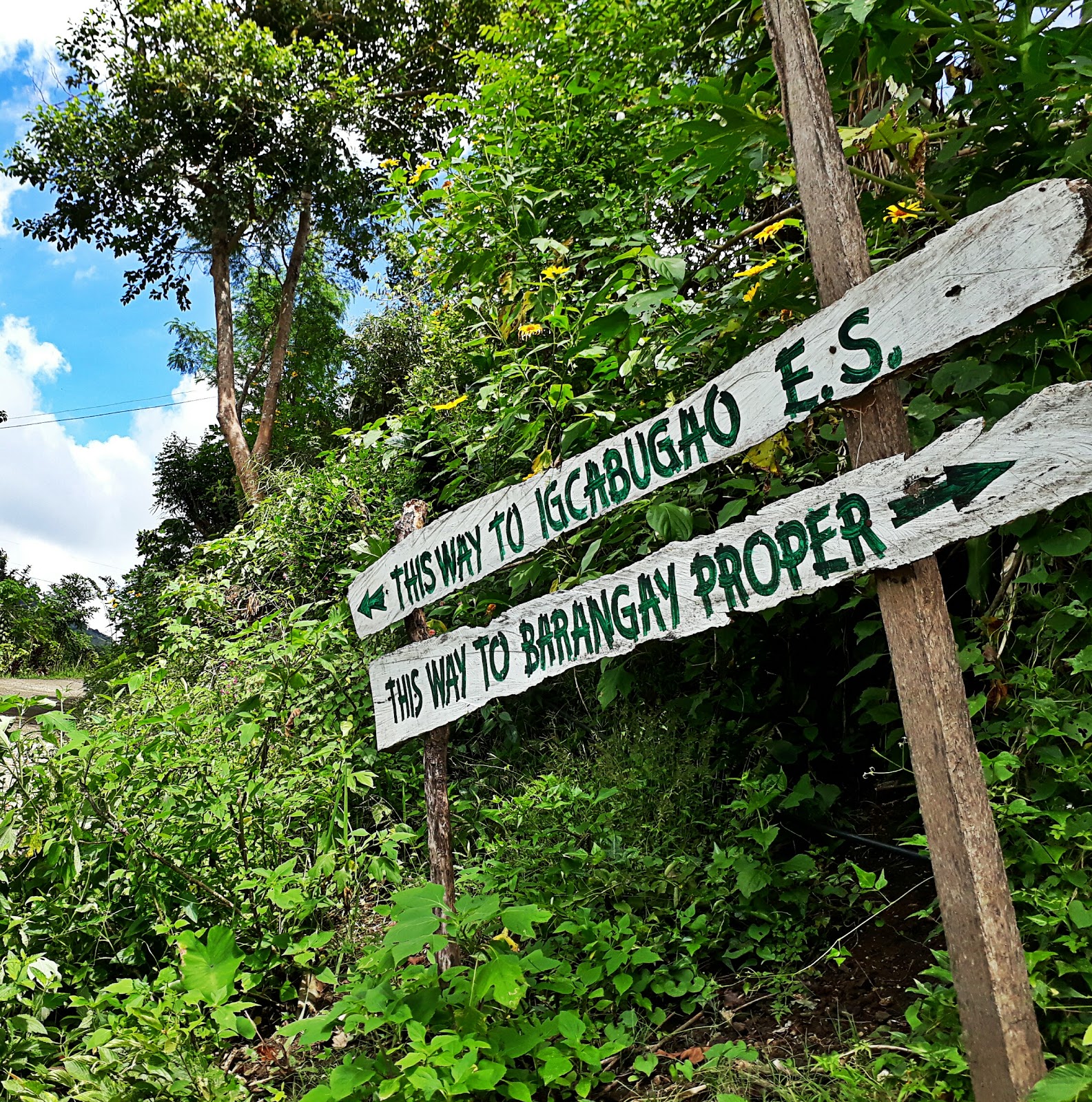 Travel with Life: Mt. Opao, Igbaras, Iloilo