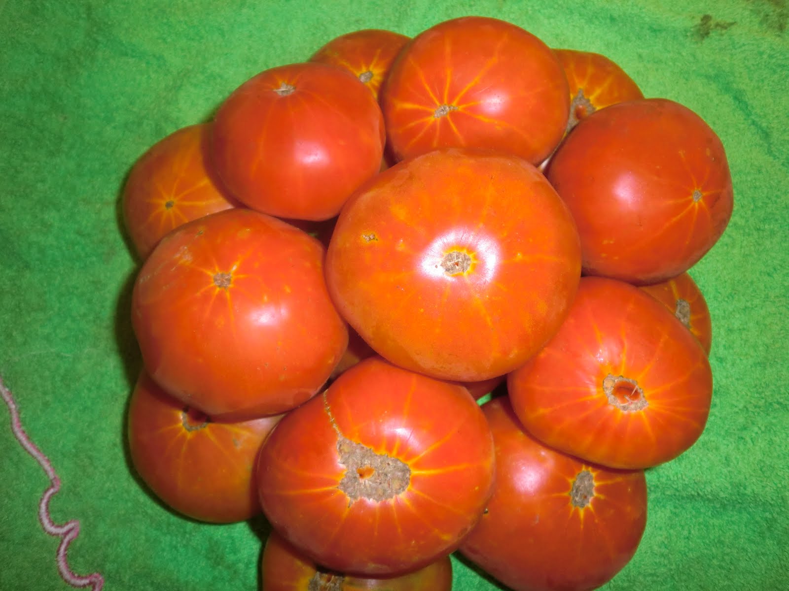 JP COCINA: TOMATE FRITO THERMOMIX