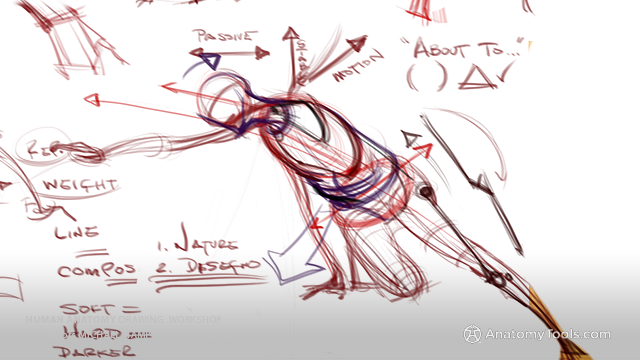 AnatomyTools.com: On-Site Workshop Photo albums: Michael Hampton ...