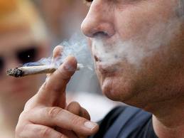 VITA CONSCIENTIA: MACONHA: EXTENSO ESTUDO CIENTÍFICO MOSTRA QUE FUMAR ...