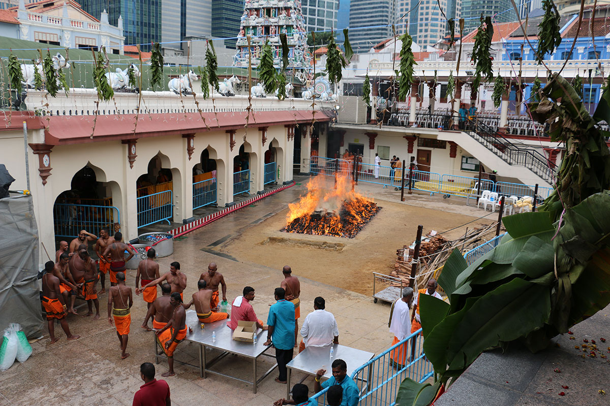 Under The Angsana Tree: Thimithi தீமிதி Fire Walking Festival 2015