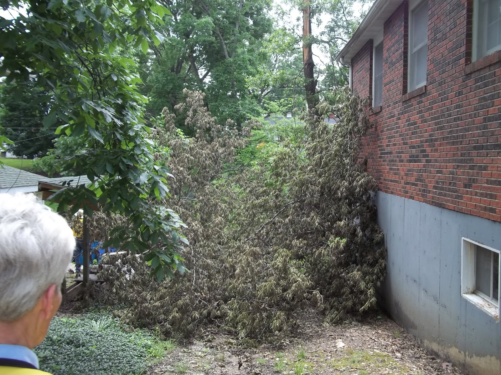 Sister Heather Ripplinger