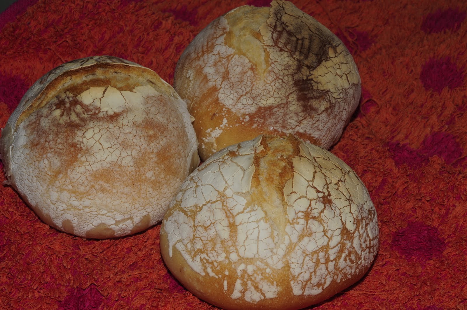 my discovery of Bread: Vienna Bread & Kaiser Rolls