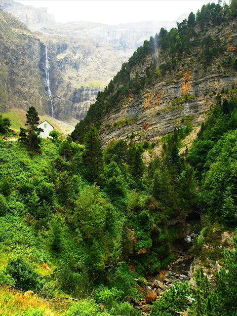 Best Pyrenees Photos: Forest Pictures - Gavarnie - Pyrenees - France