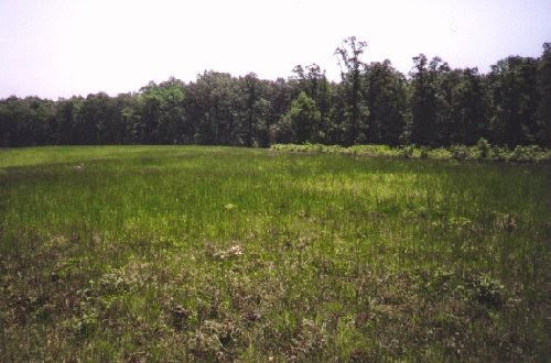 Civil War Medicine (and Writing): The Battle of the Wilderness - A ...