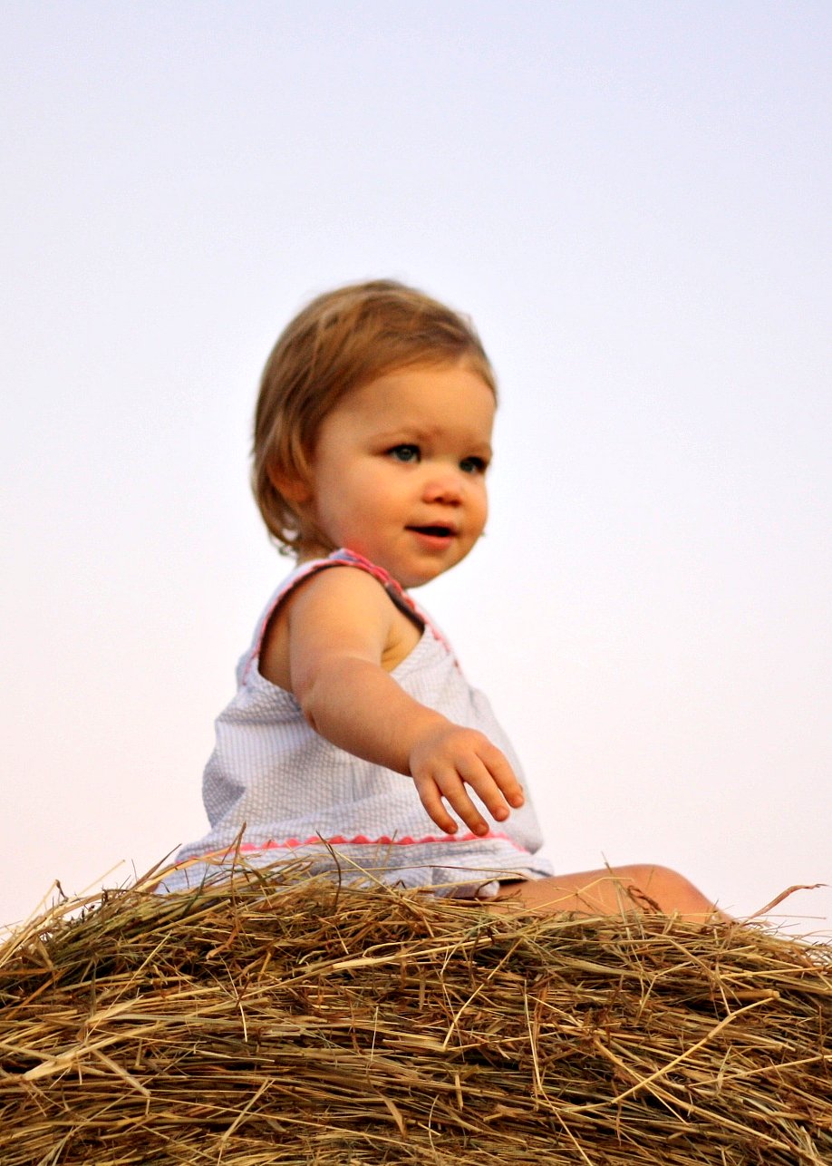 Party of Tew: Hey, Hay Baby!