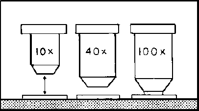 microscope objective lens function - EDUSIP