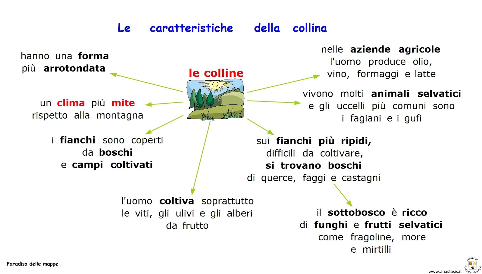 Paradiso delle mappe: Le caratteristiche della collina
