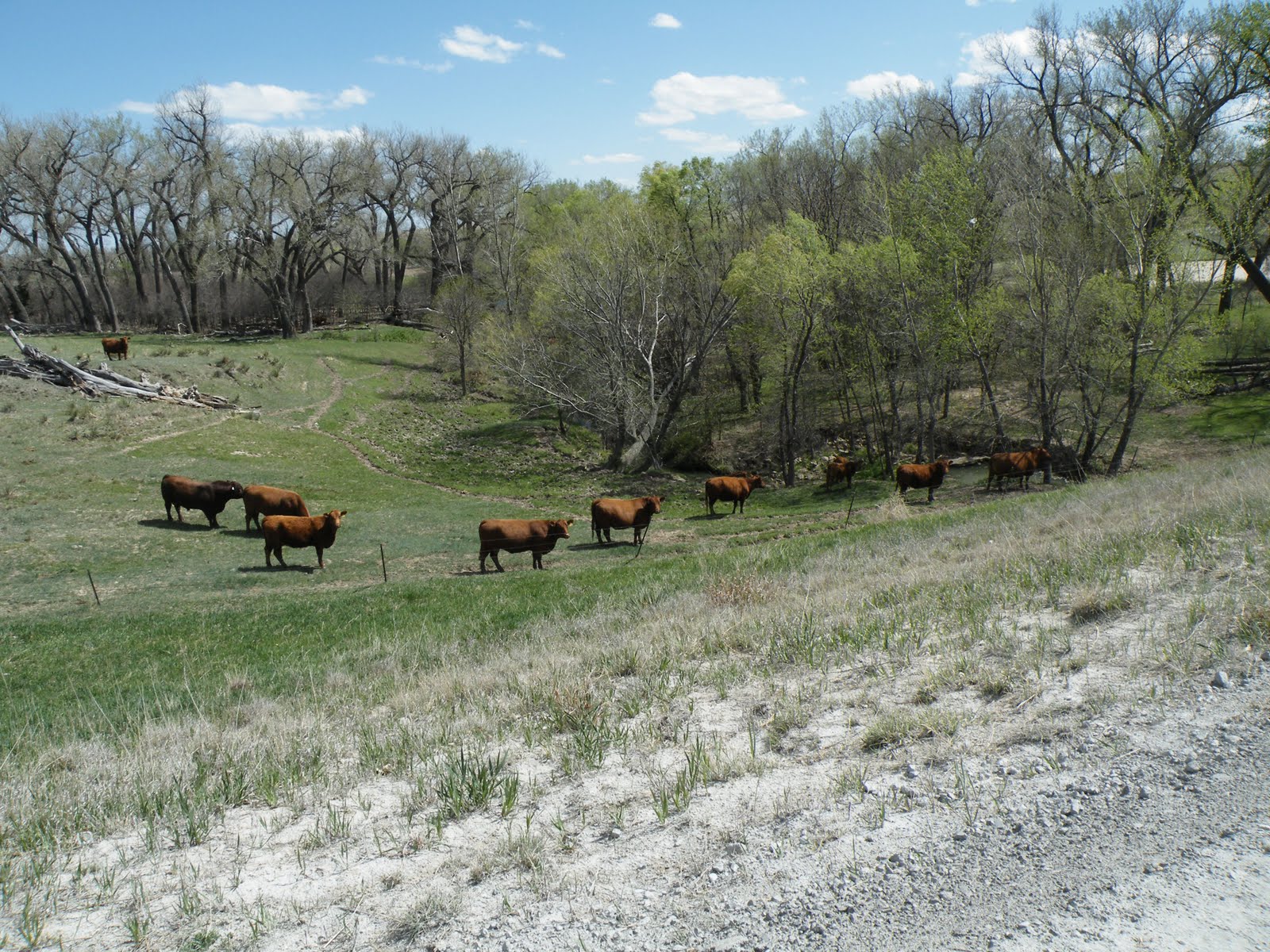 Kansas' 150th - 150 things to do in Kansas: 67. Antelope Lake