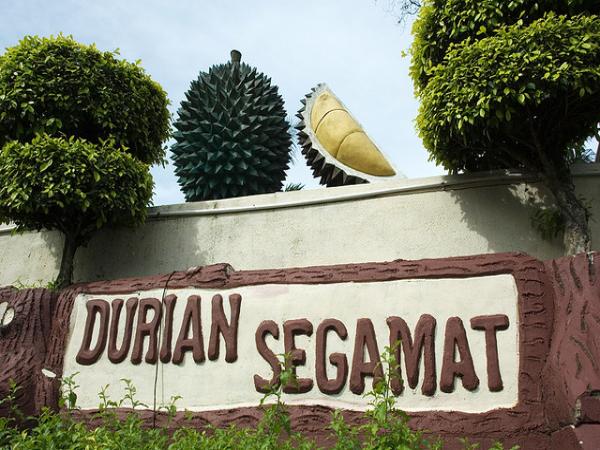 SEGAMAT: SEJARAH DAN MITOSNYA ~ SK (Felda) Redong, Segamat
