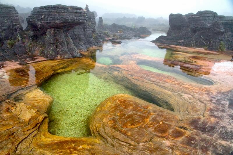 Casa Tática : Trilha do monte Roraima