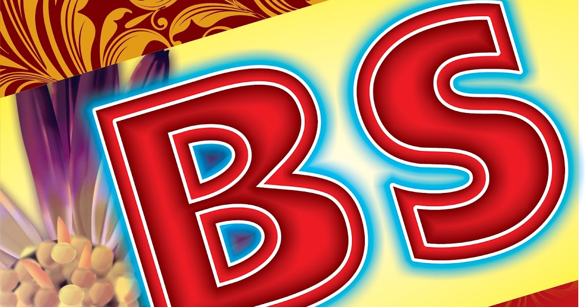 BS-Art Cover Page Design