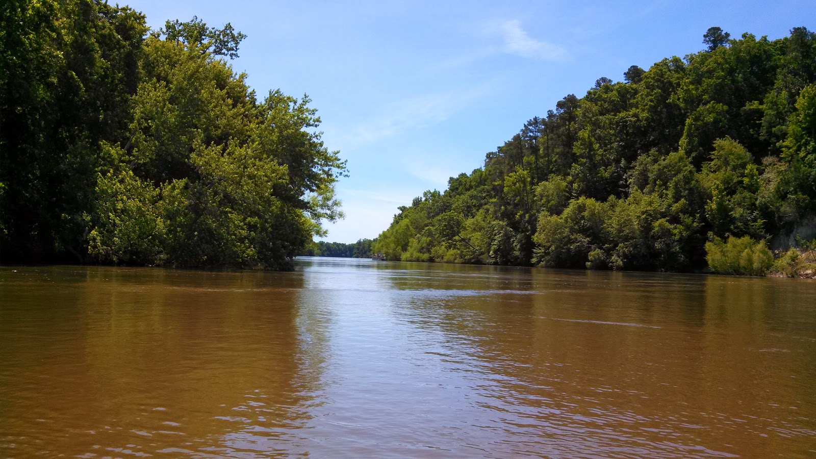 Canoeing SC's Rivers 2014: February 1 - Conaree/Santee River - Bates ...