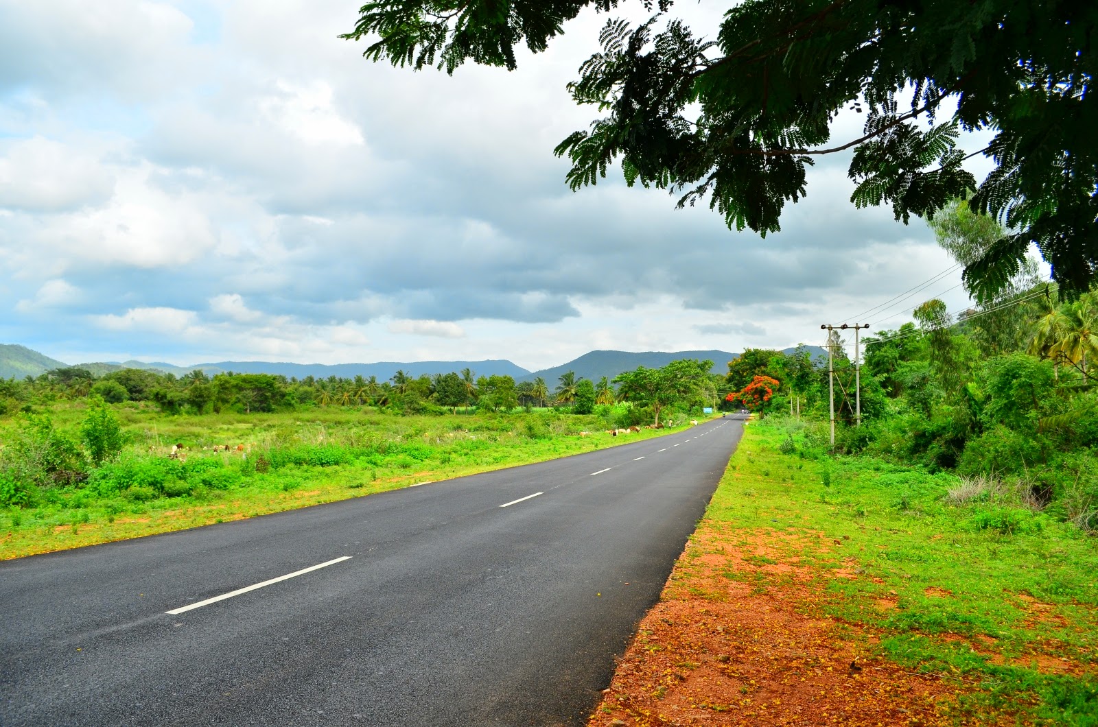 Sharath Hassan A Travelling Photographer: July 2014