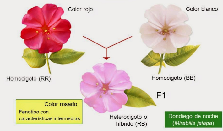 Cs. Biológicas Online 3: febrero 2016