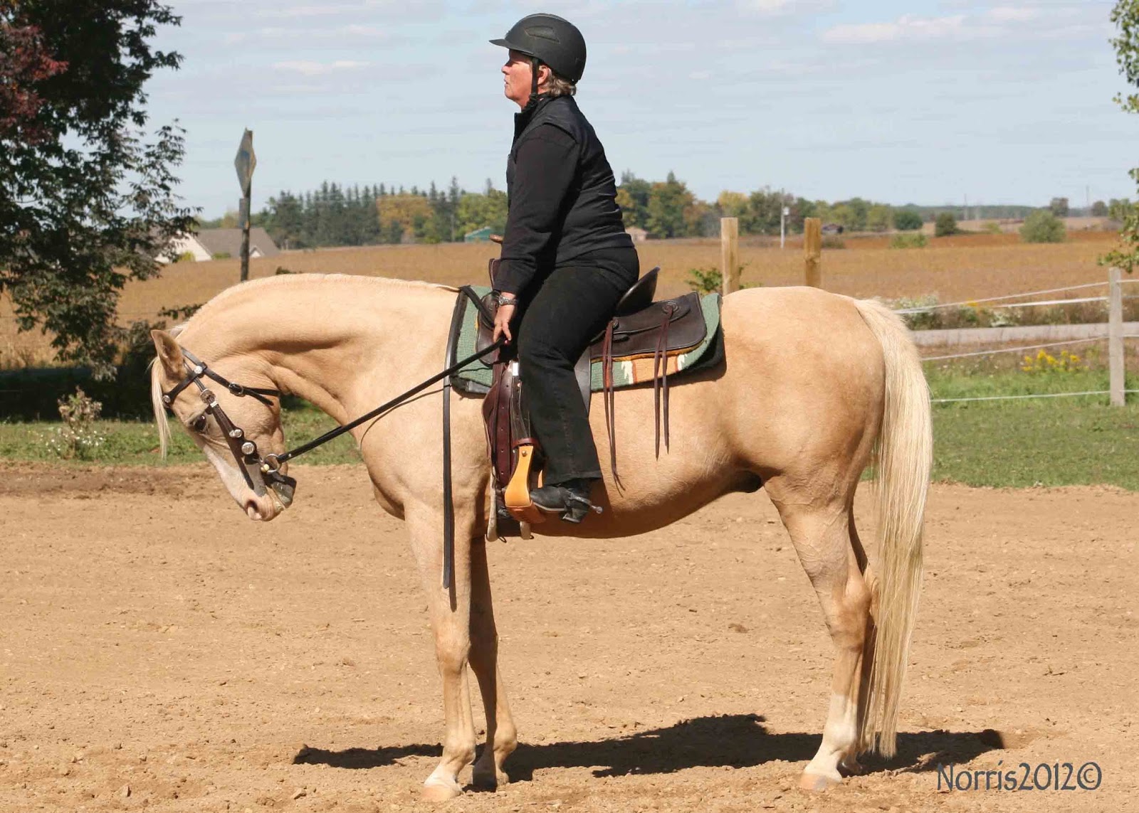 Elaine Ward Western Dressage: Correct Hand Position