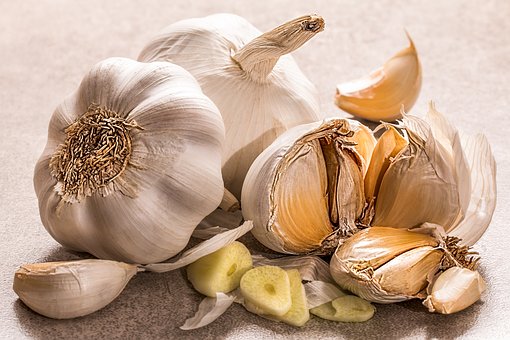Medicinal Plants: Garlic