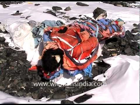 Over 200 Dead Bodies on Mount Everest: Over 200 Dead Bodies on Mount ...
