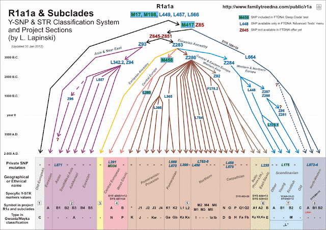 Abbey: R1a1a Tree by L. Lapinski (31.01.2012)